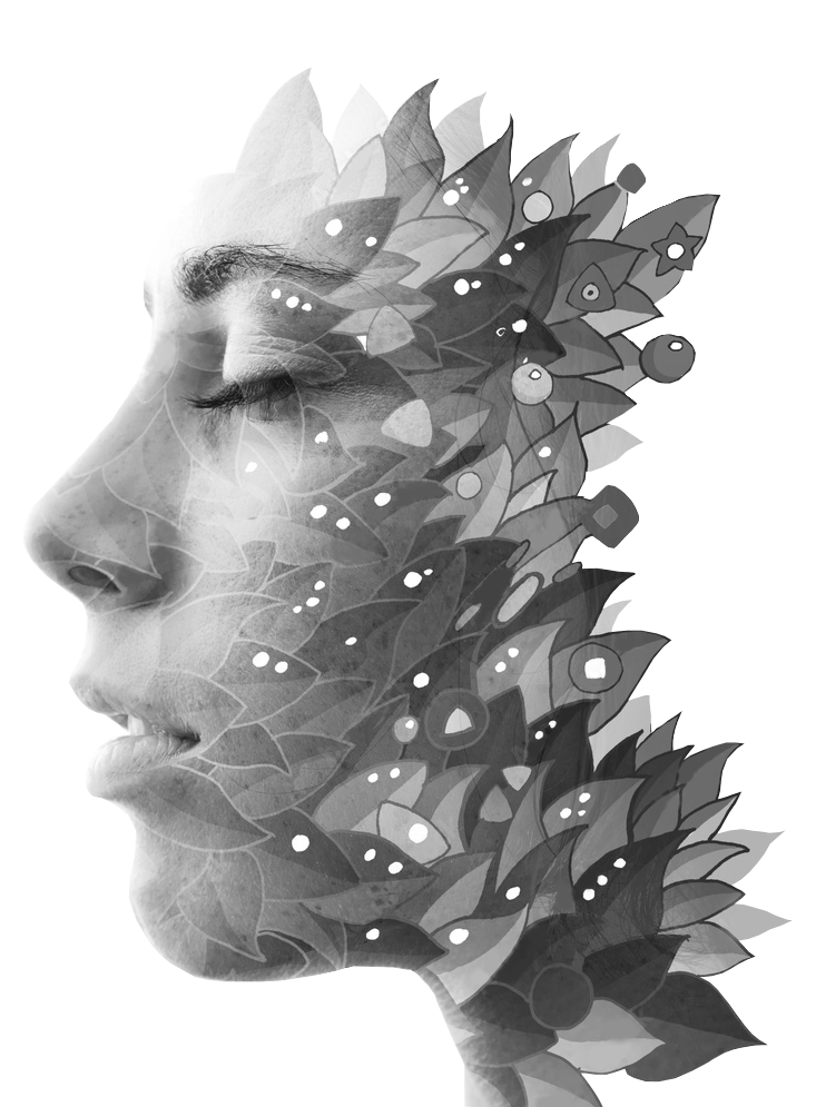 მეტი მეტი